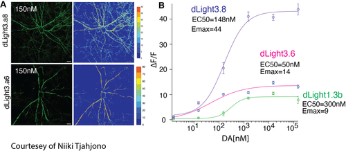 Lin Tian Lab Sensors — Neurotools