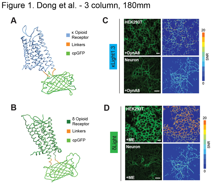 Lin Tian Lab Sensors — Neurotools
