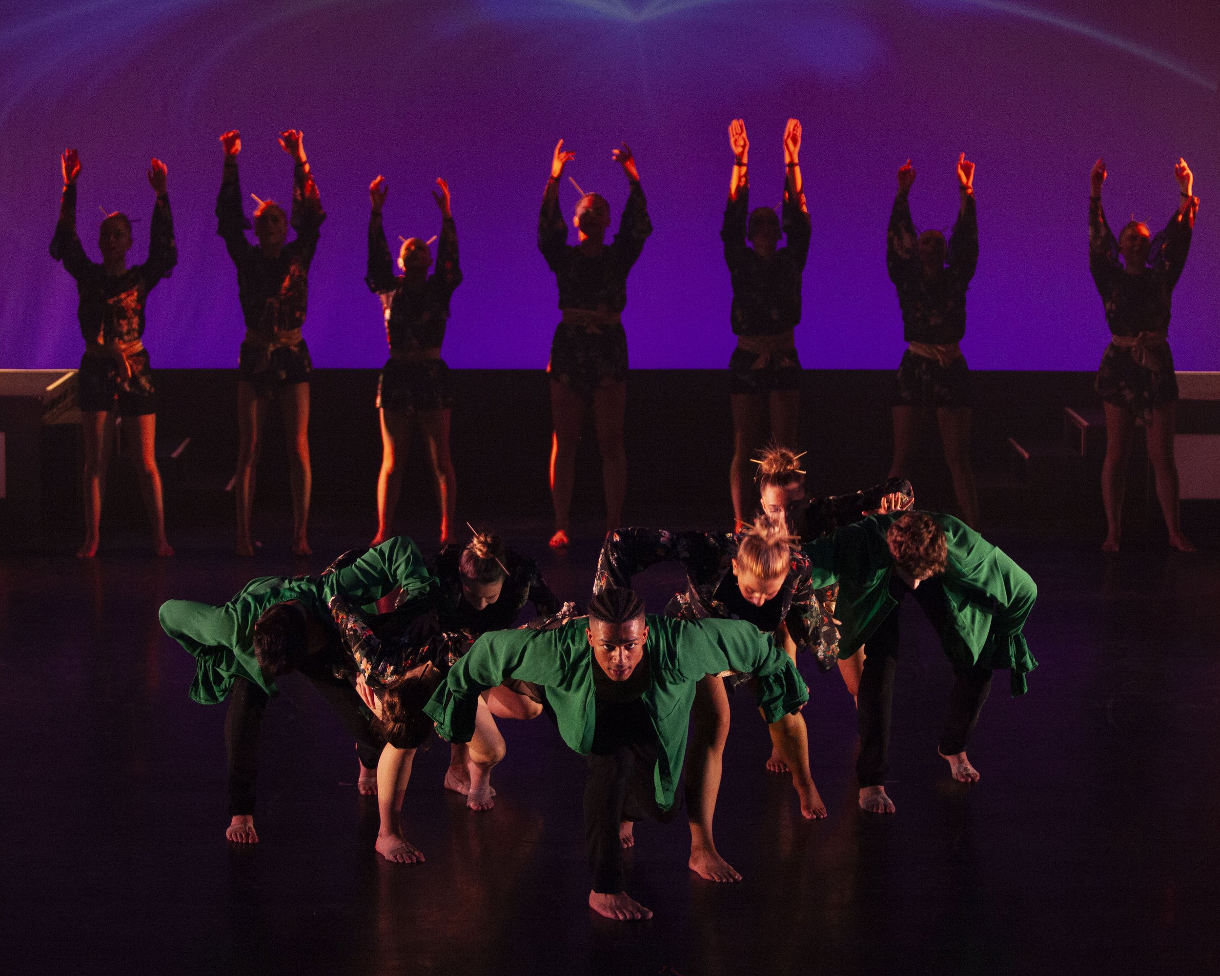 Professional Diploma: Dance — The Hammond