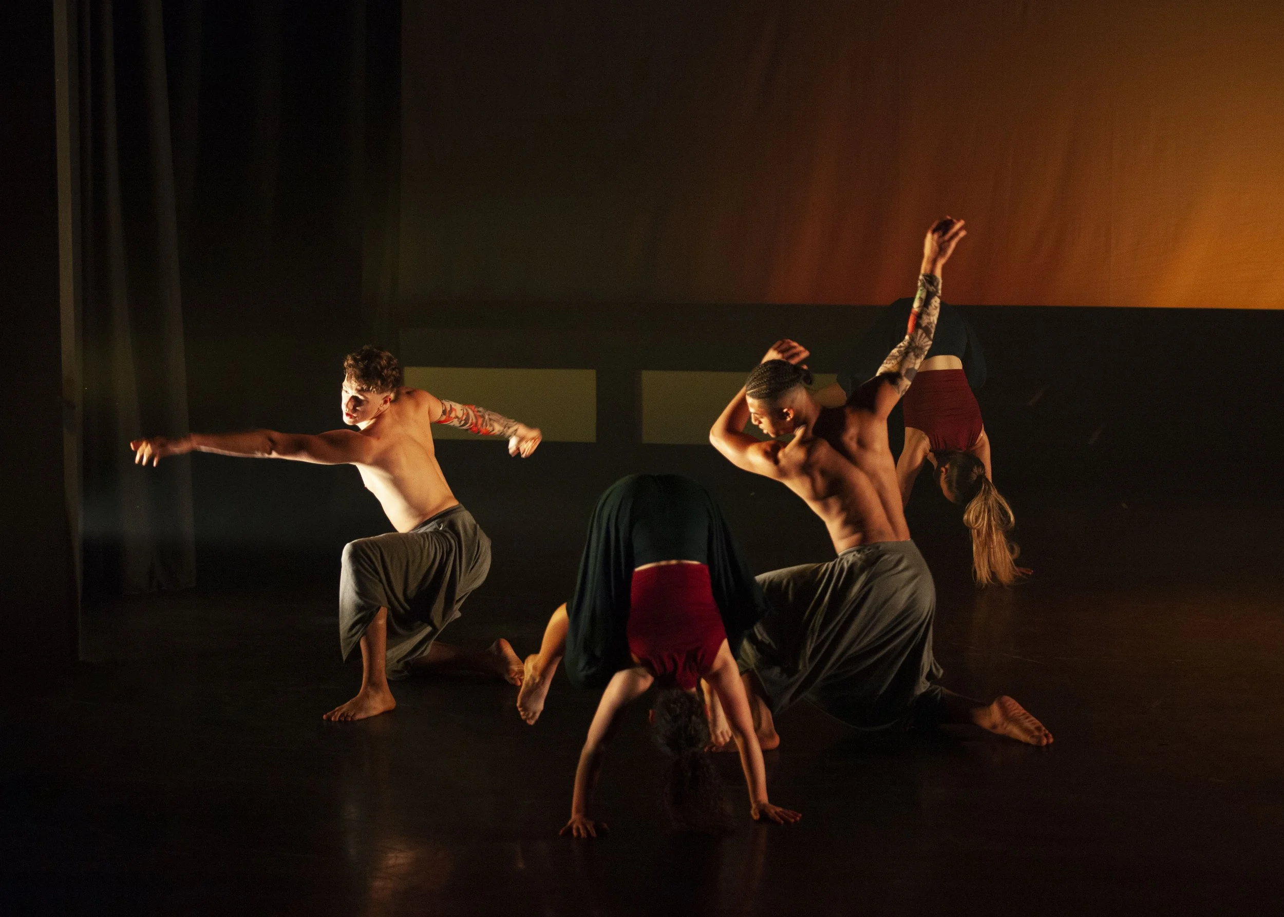 Professional Diploma: Dance — The Hammond