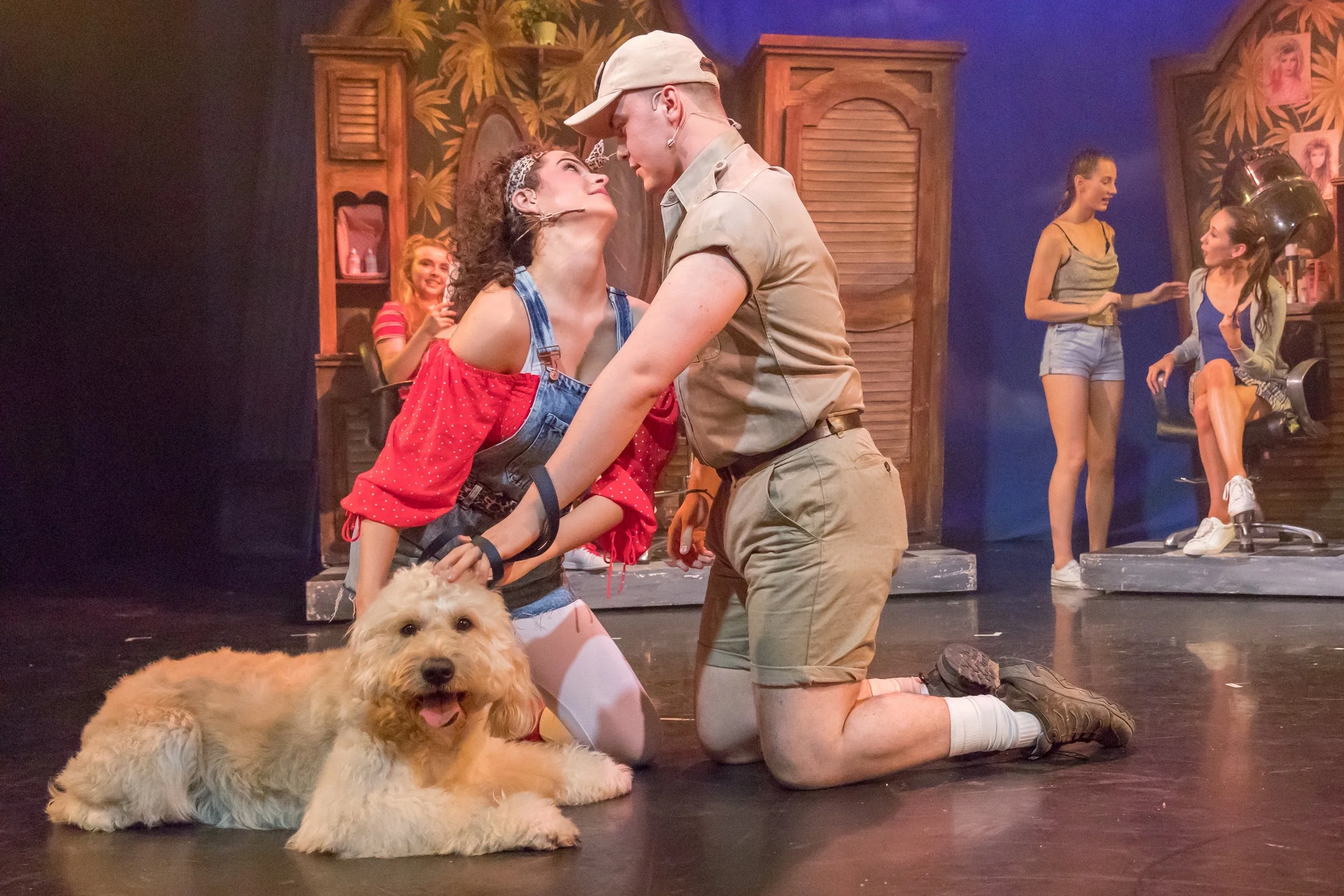 Professional Diploma: Musical Theatre — The Hammond