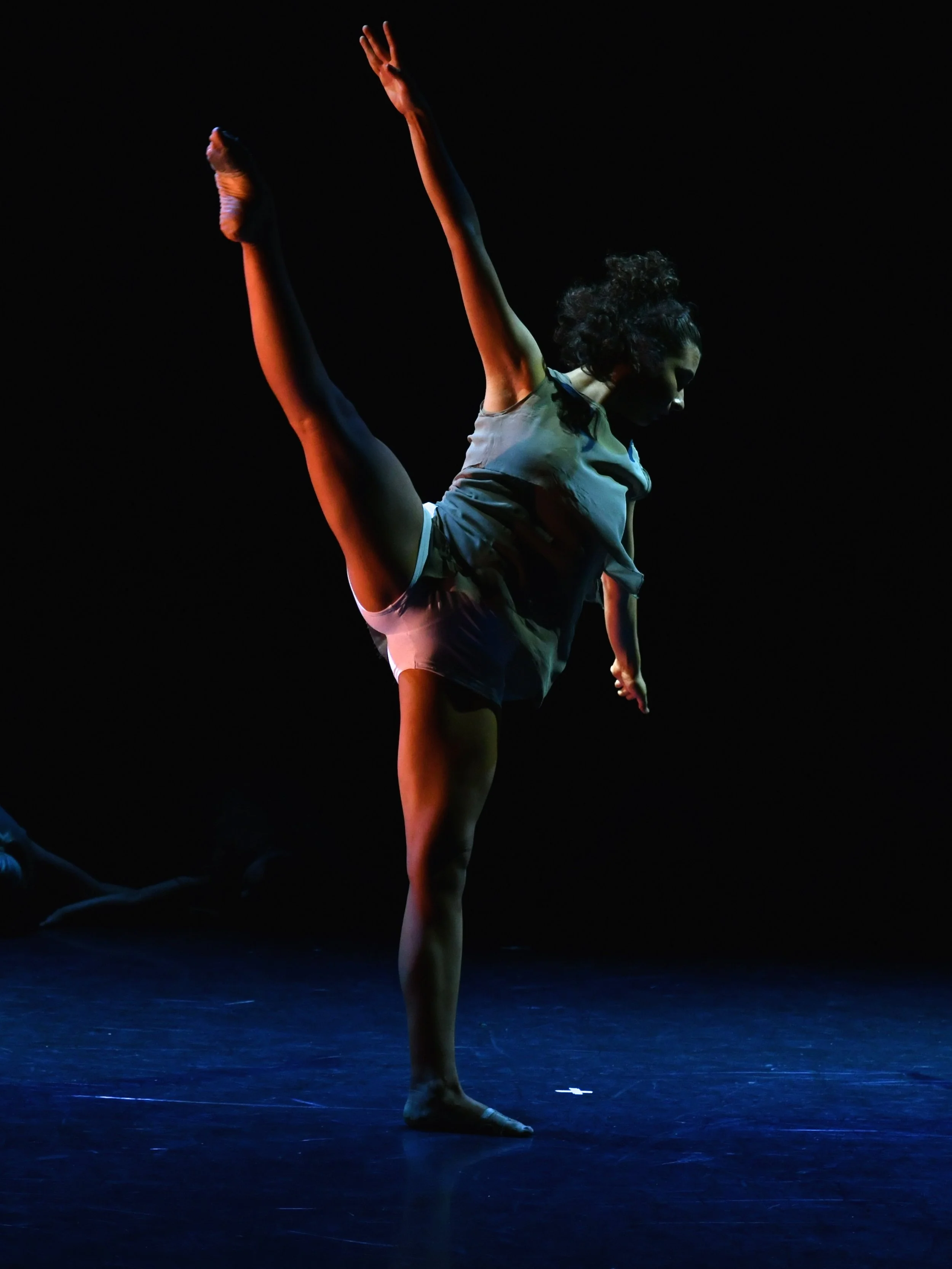 Professional Diploma: Dance — The Hammond