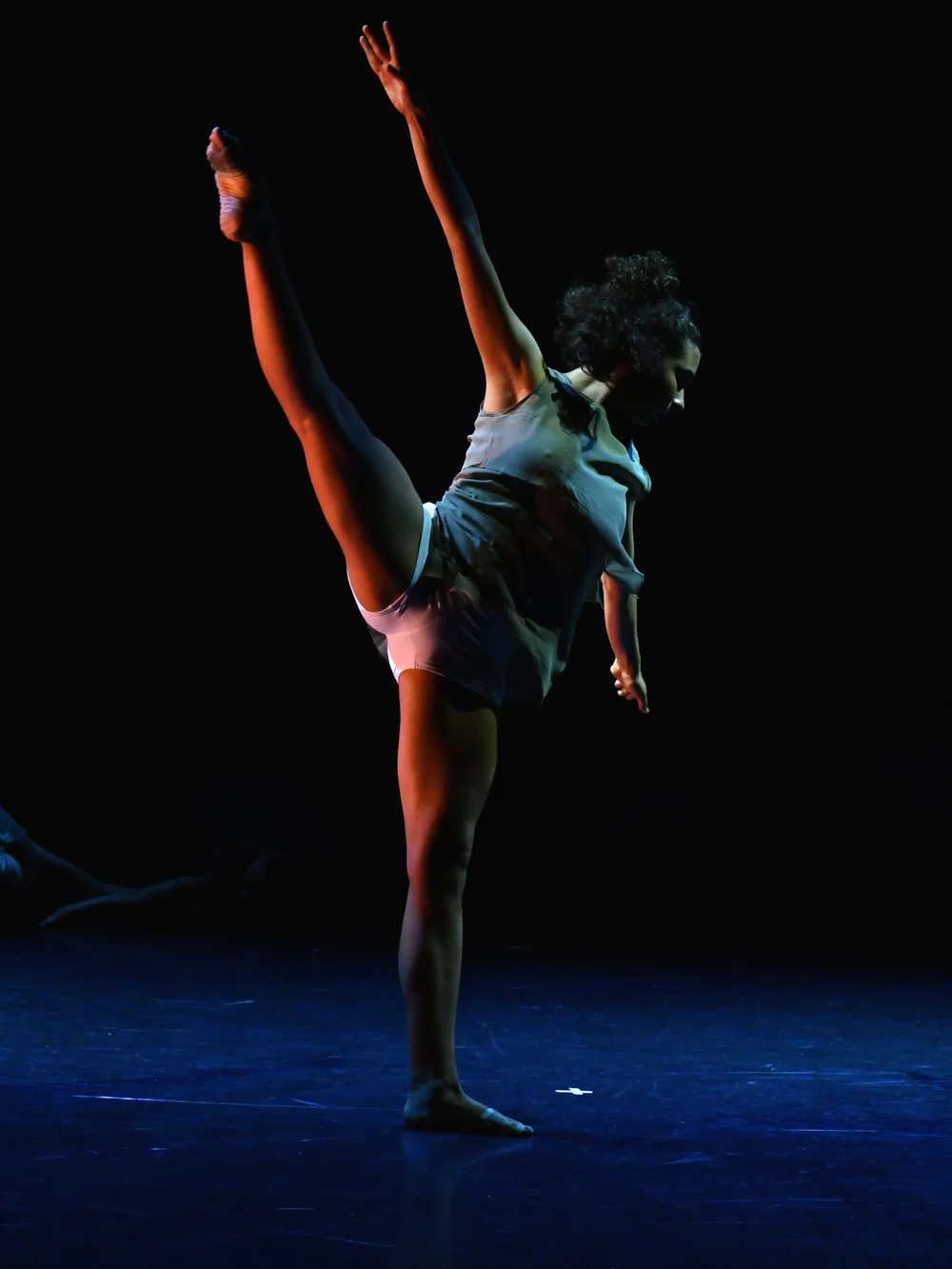 Professional Diploma: Dance — The Hammond