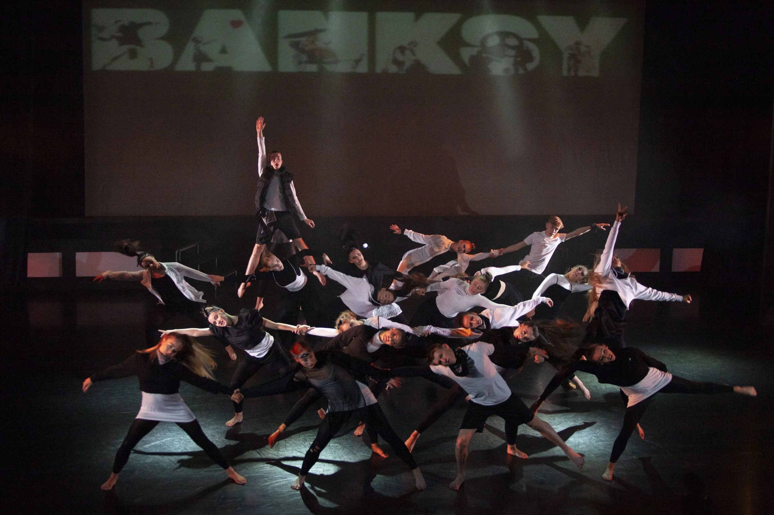 Professional Diploma: Dance — The Hammond