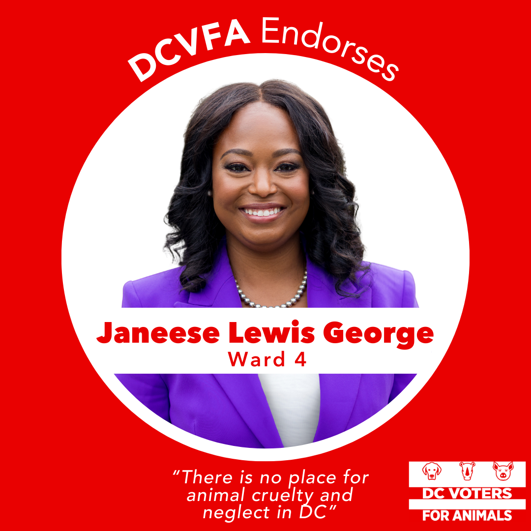 DC Voters for Animals Announces Endorsements in DC 2024 Primary — DC ...