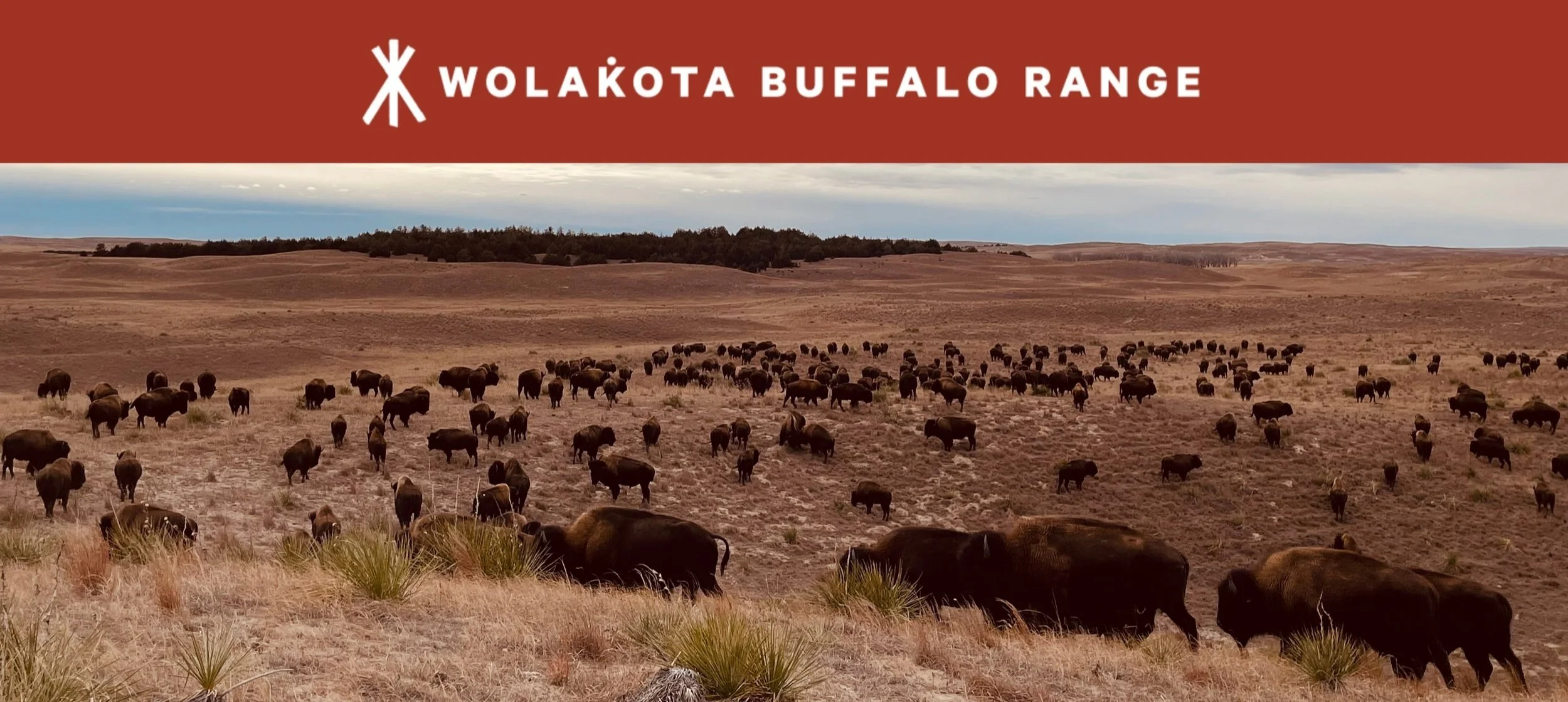Wolak̇ota Buffalo Range — Siċaŋġu Co