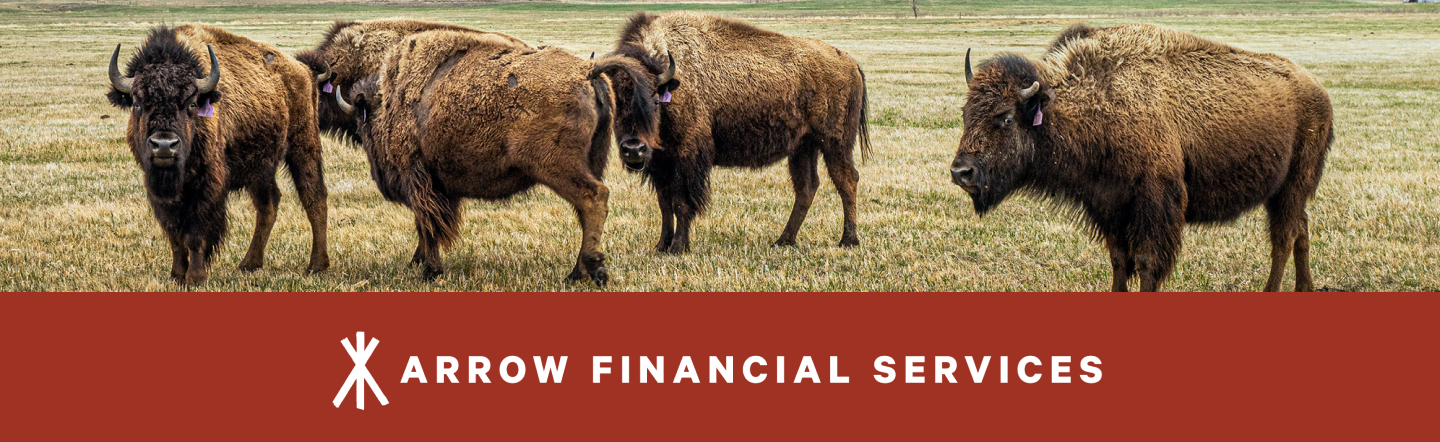 Arrow Financial Services — Siċaŋġu Co