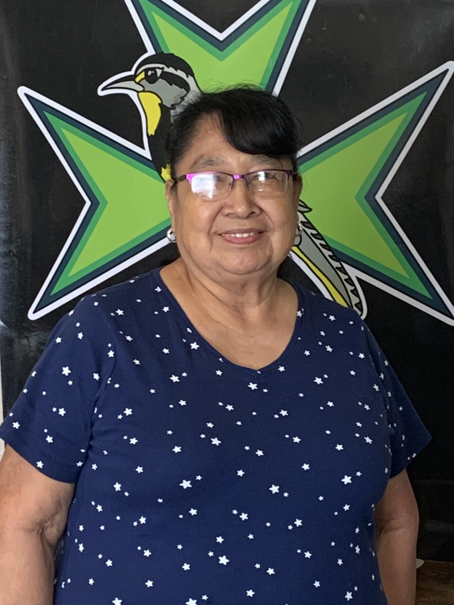 Our Team — Siċaŋġu Co