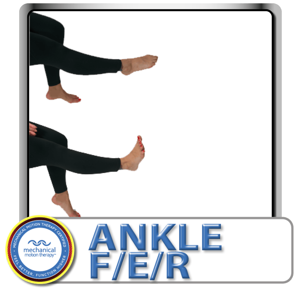 MMT - ANKLE — Learn ProBalance