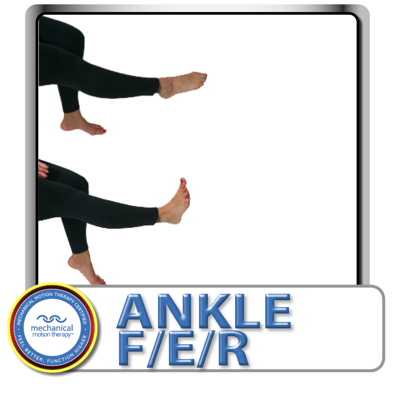 MMT - ANKLE — Learn ProBalance
