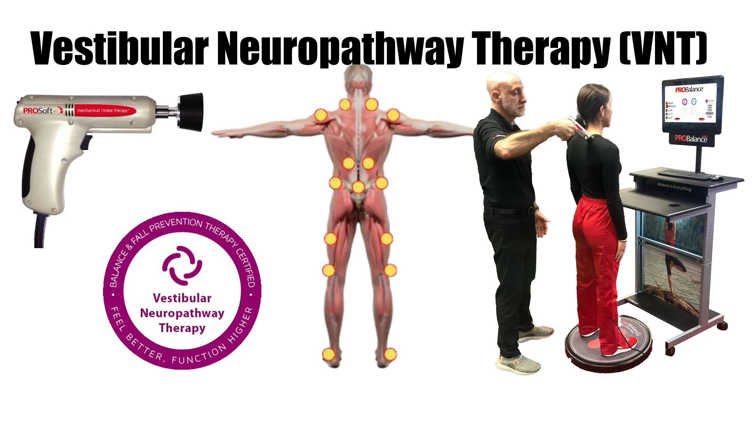 Patient - Findings - Therapy Plan - 3C — Learn ProBalance