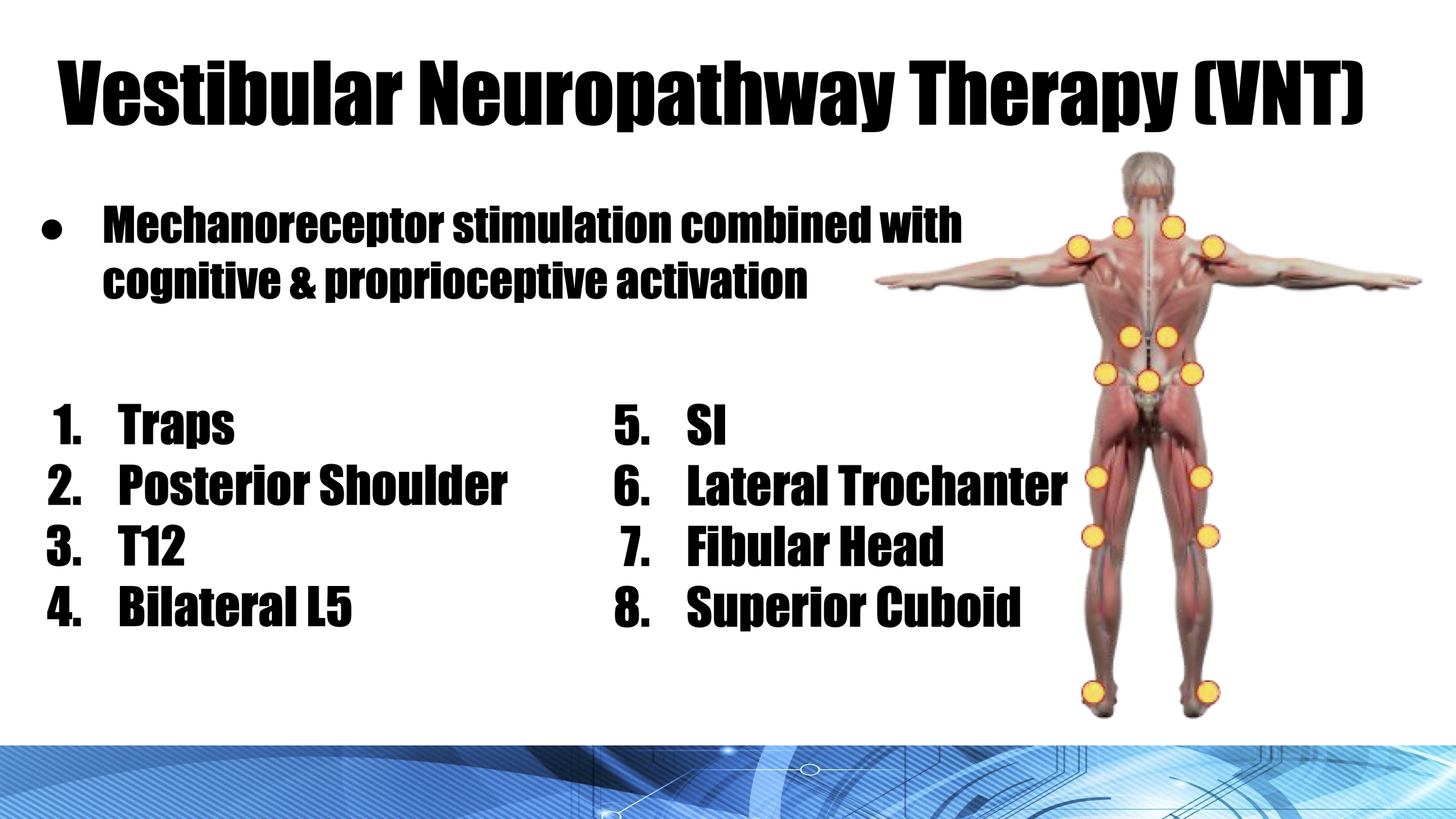 PB360 - Life Resources — Learn ProBalance