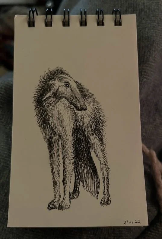 Drawing samples — Irena Roggeveen Portfolio