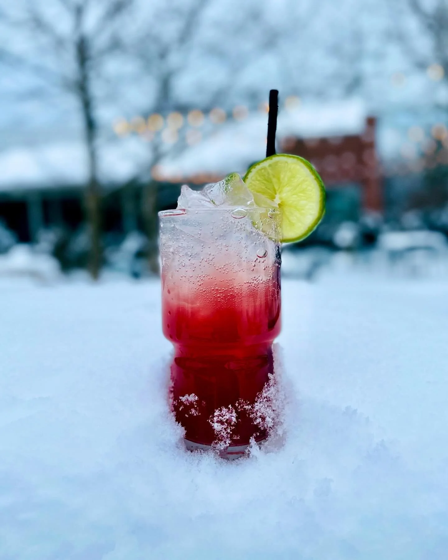 Home [www.sideyardsawyer.com]