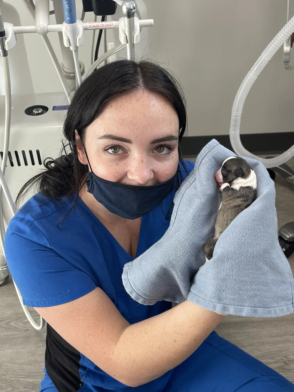 Services — Granger Veterinary Hospital