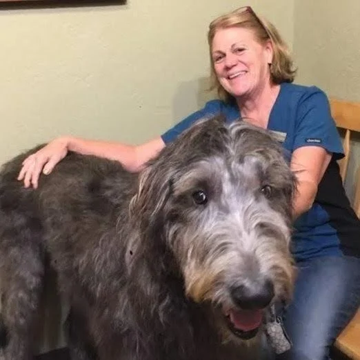 AboutSt.Peter — Granger Veterinary Hospital