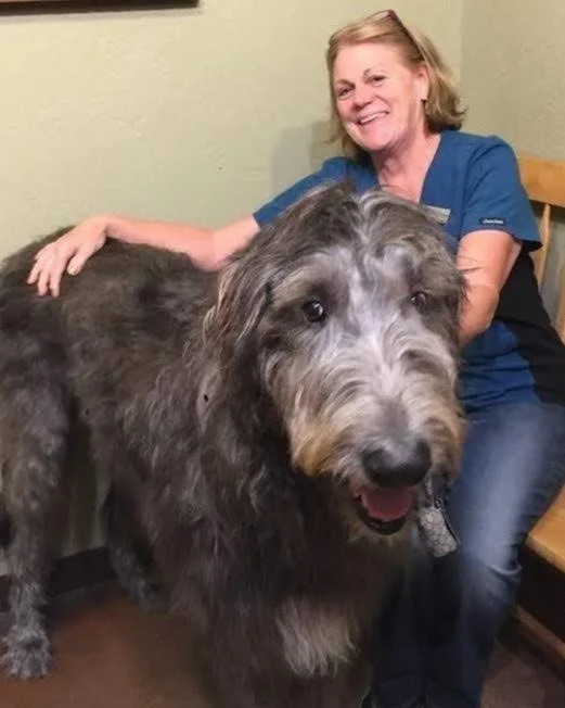 Our Team — Granger Veterinary Hospital