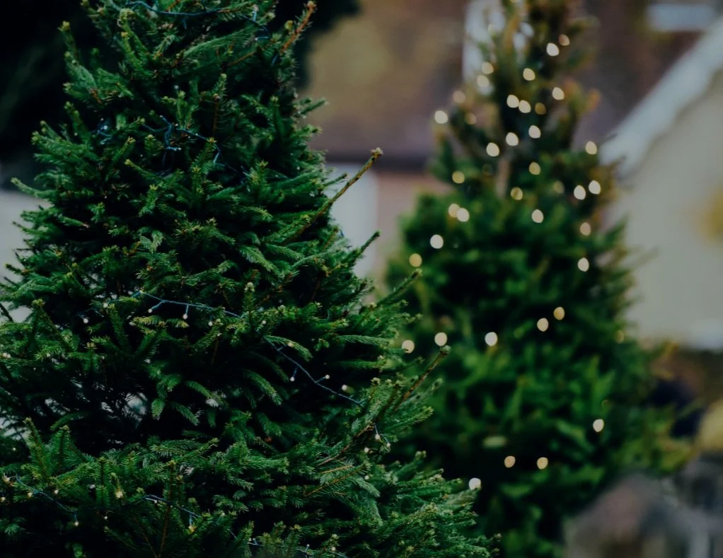 The American Christmas Tree Association