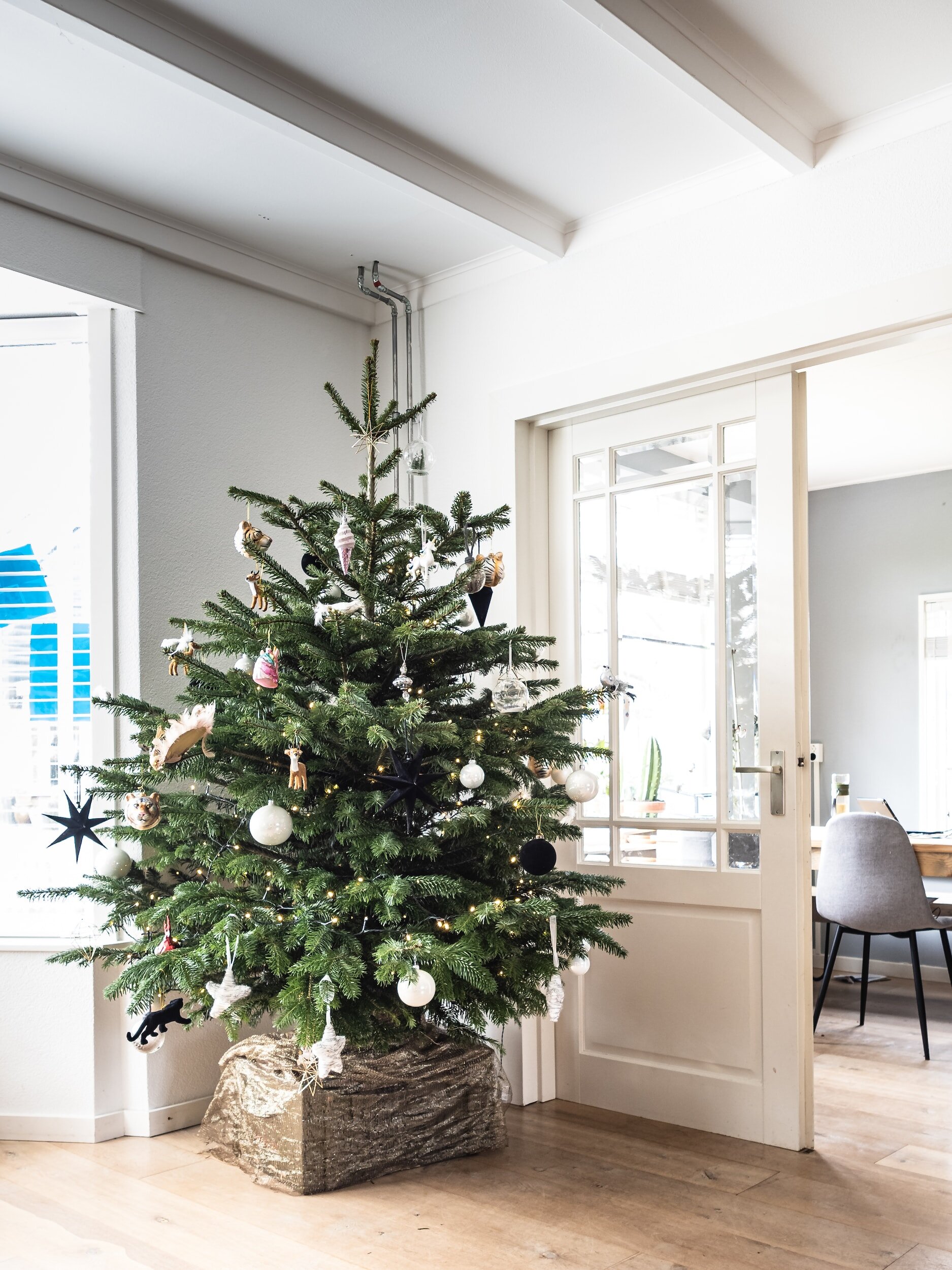 The American Christmas Tree Association