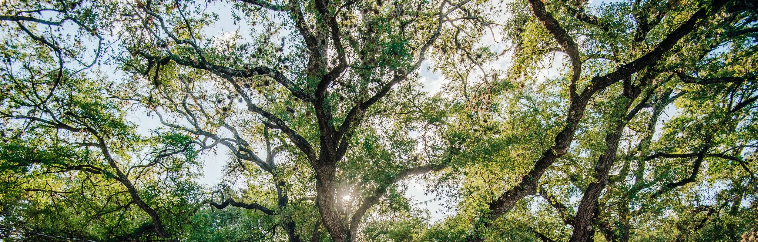 Aggie Park Event Center