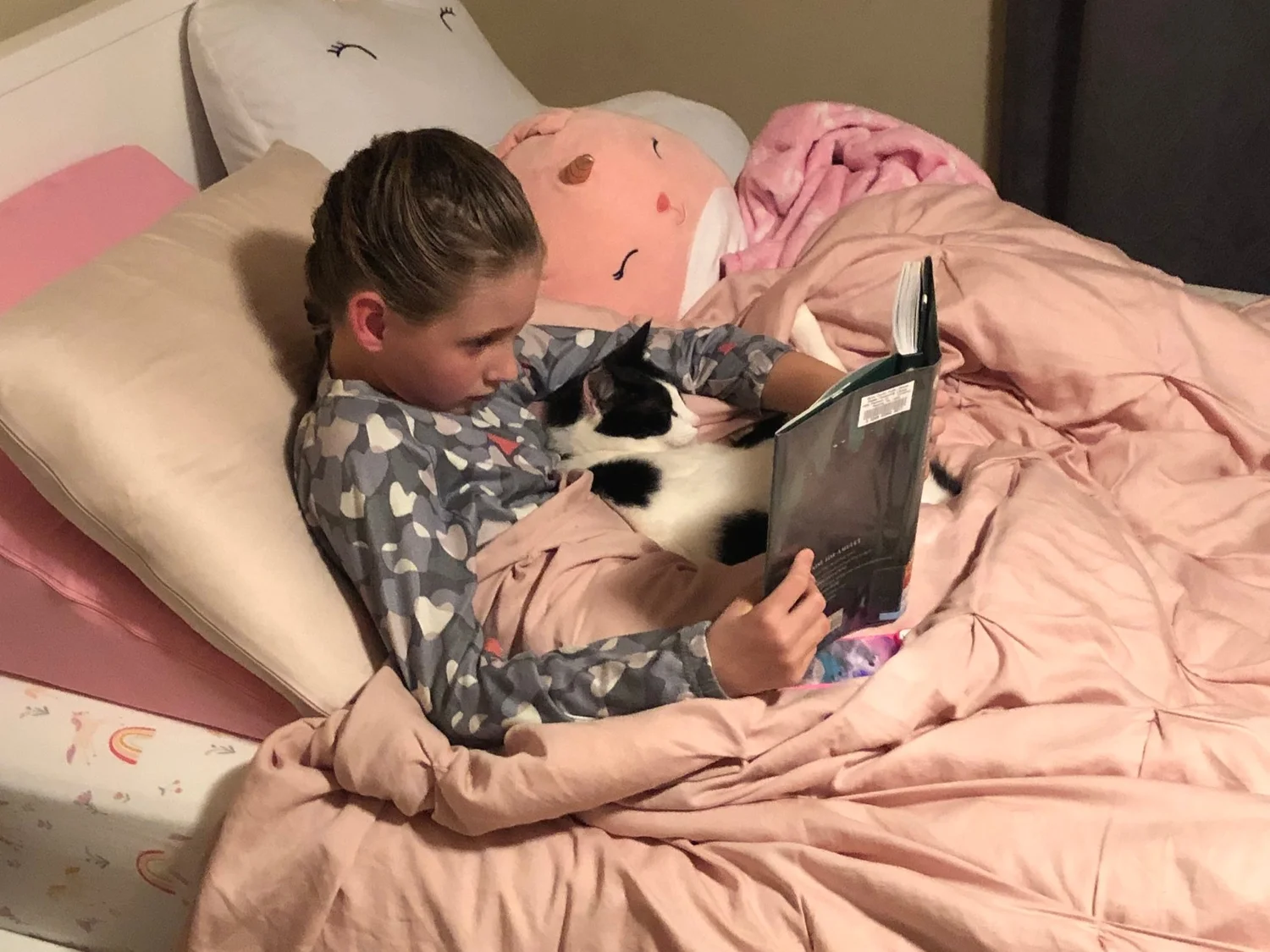 A Beginner's Guide: Kindergarten Homeschool | Hummingbird Homeschool