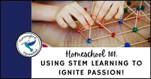 What is STEM? Fight Homeschool Boredom & Ignite Passion with STEM ...