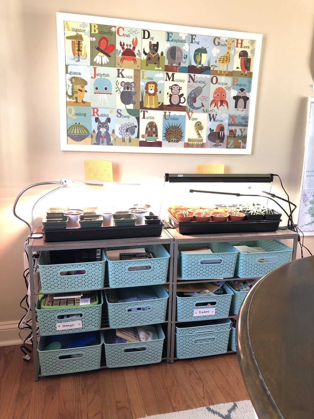 A Beginner's Guide: Kindergarten Homeschool | Hummingbird Homeschool