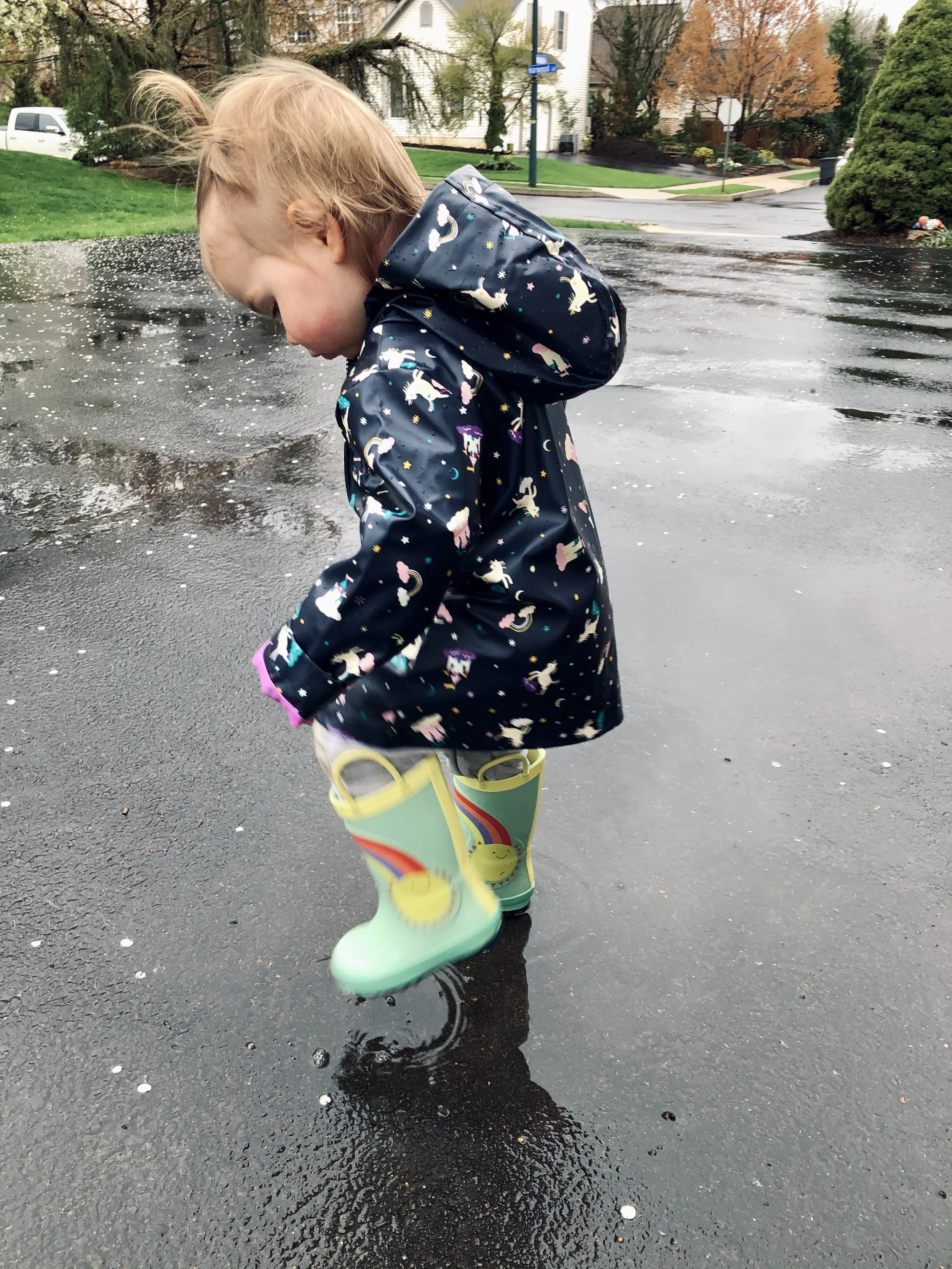 Four Seasons: Activities for Kindergarten & Preschool | Hummingbird ...