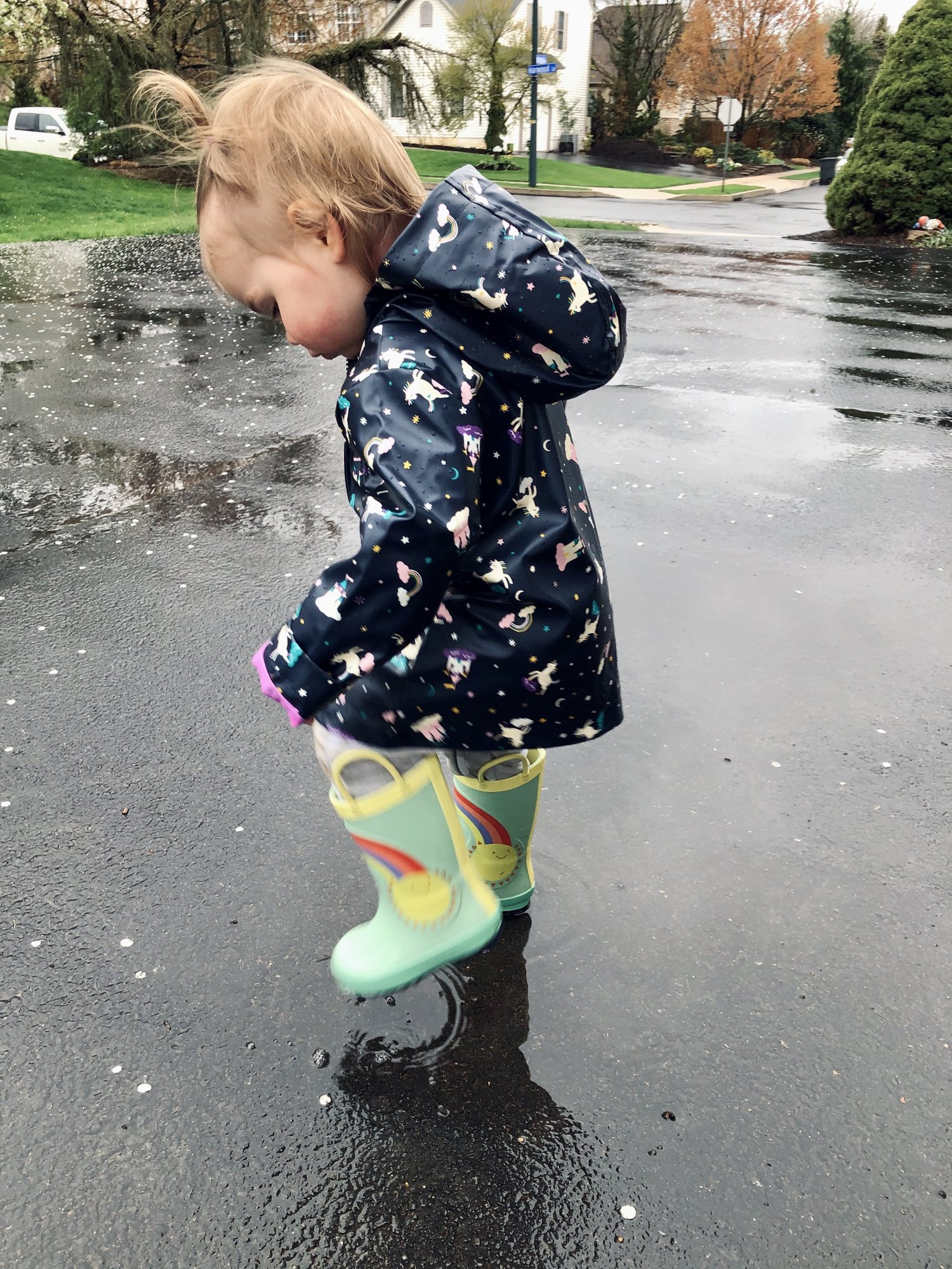 Four Seasons: Activities for Kindergarten & Preschool | Hummingbird ...