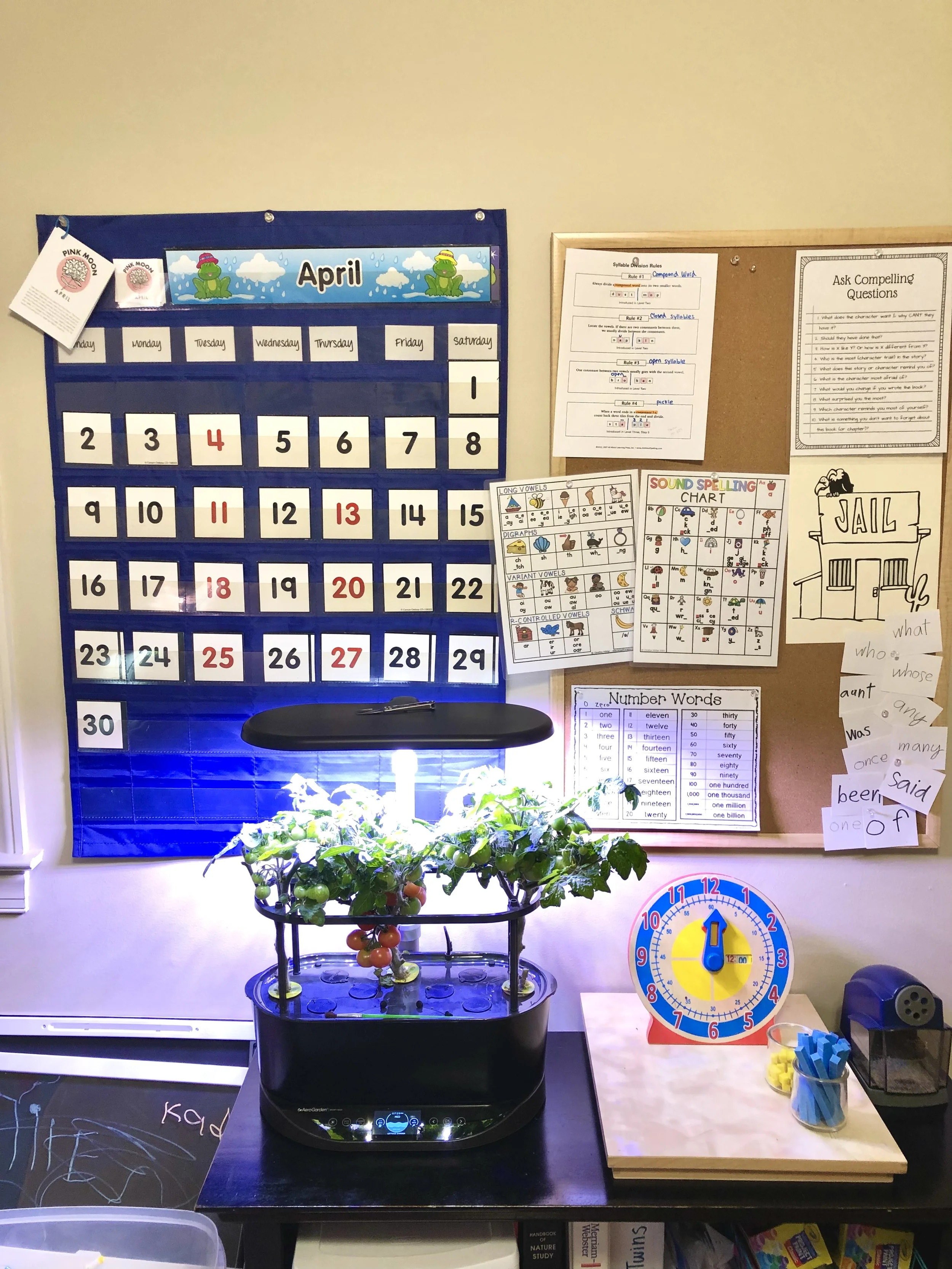 A Beginner's Guide: Kindergarten Homeschool | Hummingbird Homeschool