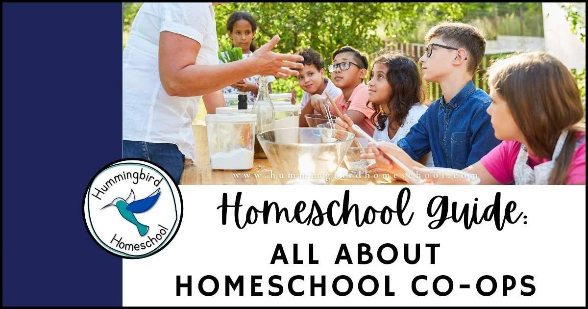 Homeschool Co-ops: A Straightforward Guide to Enhancing Homeschooling | Hummingbird Homeschool