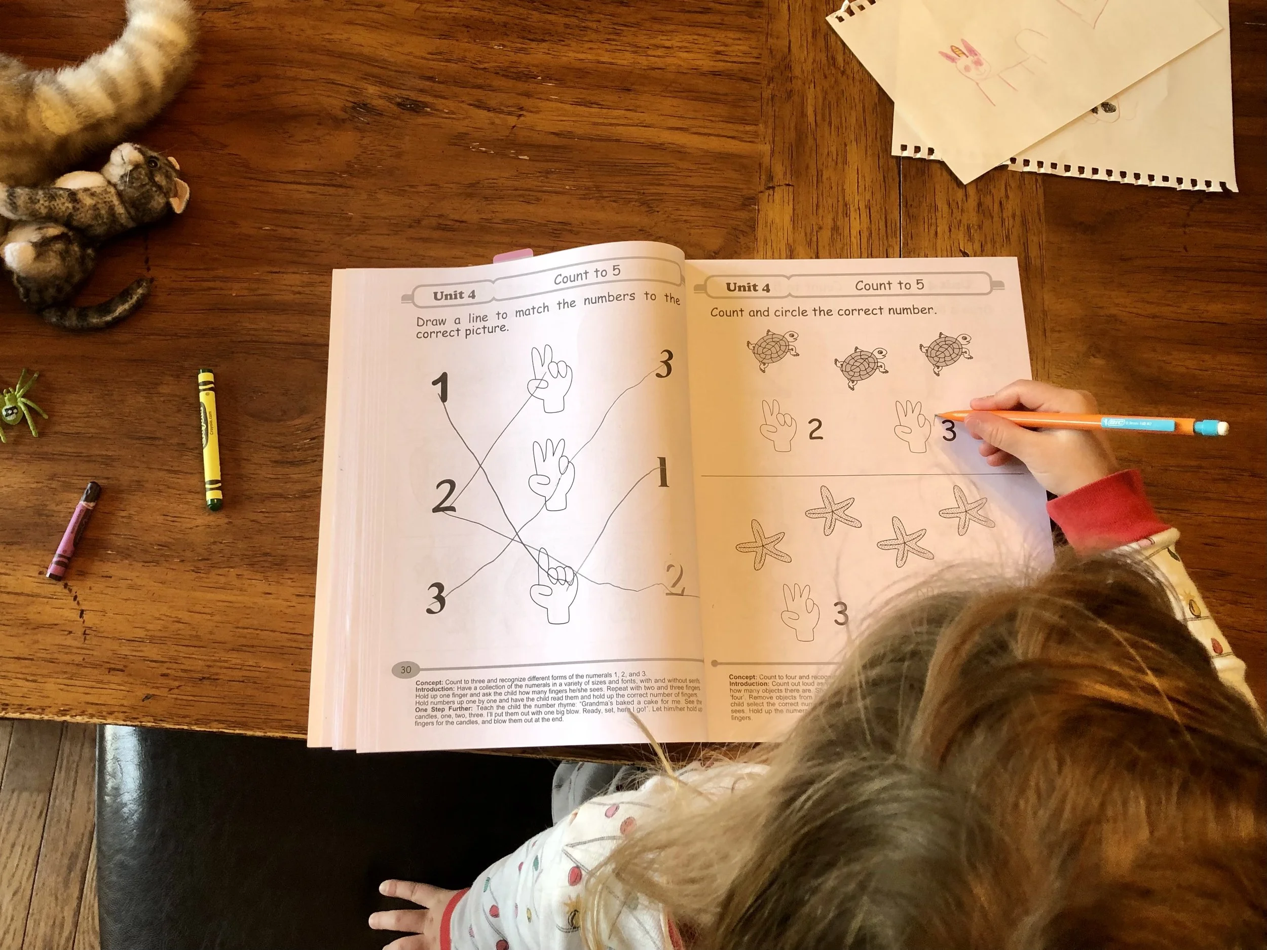 A Beginner's Guide: Kindergarten Homeschool | Hummingbird Homeschool