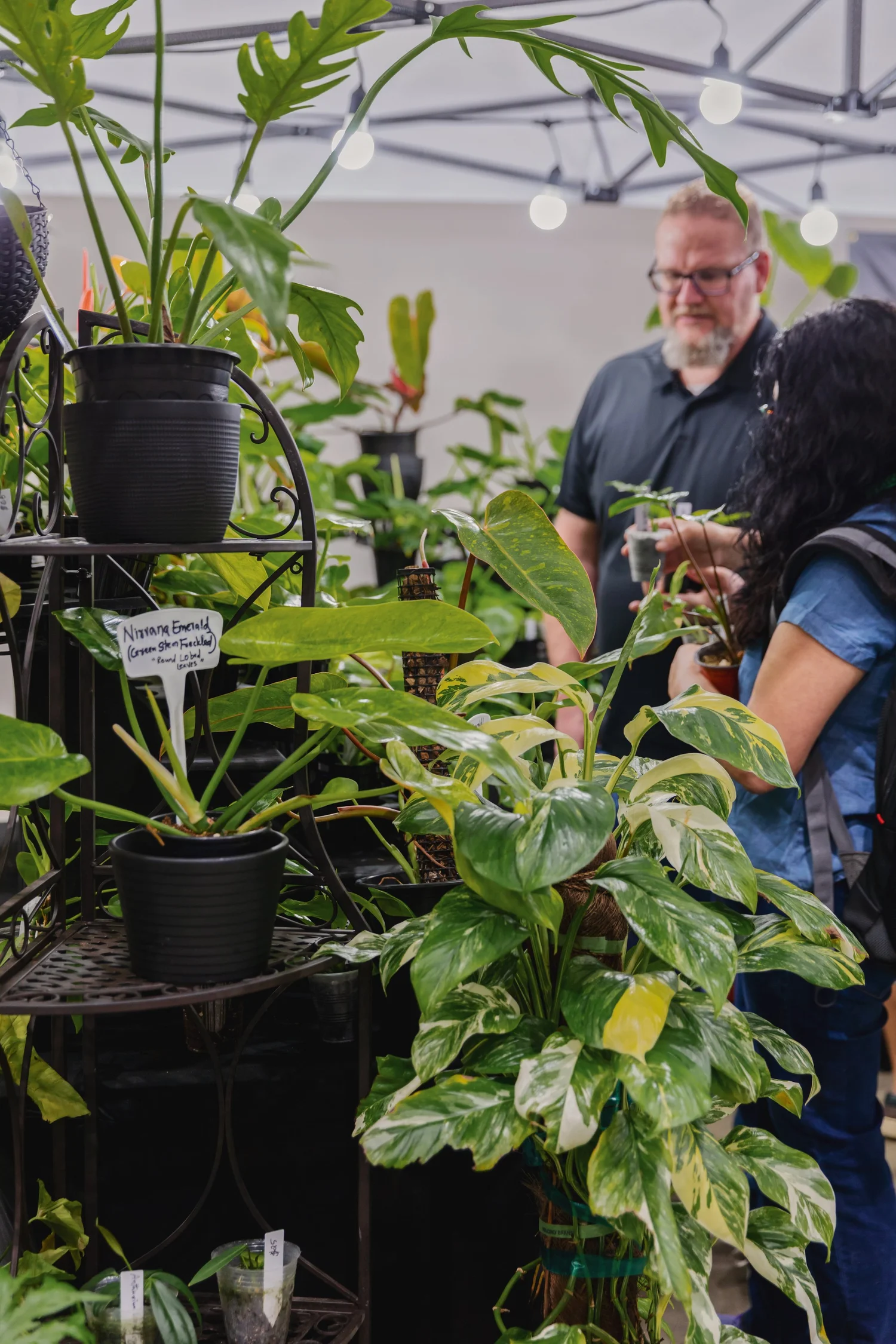 PlantCon Orlando 2025 — PLANTCON™ INTERNATIONAL
