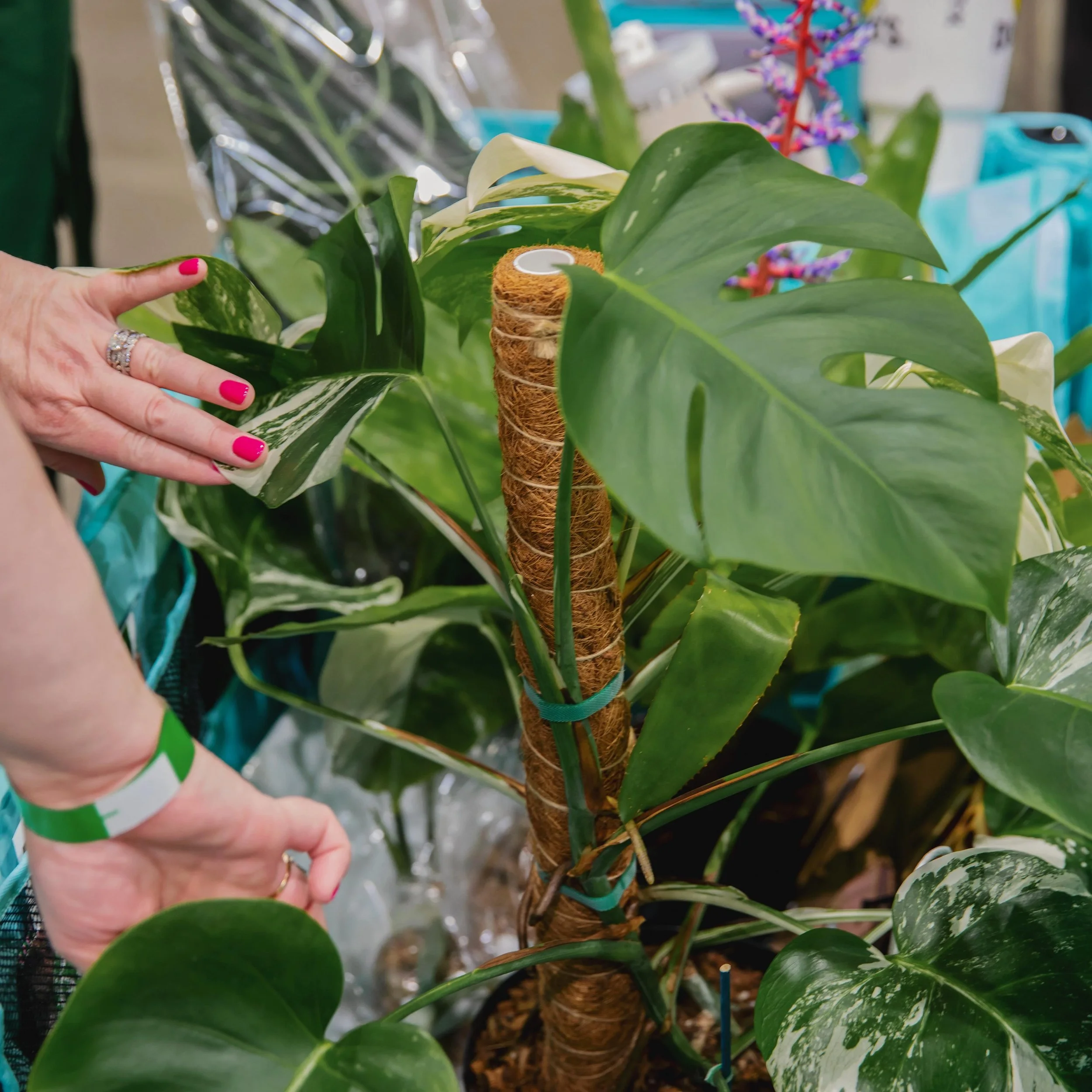 PLANTCON™ INTERNATIONAL