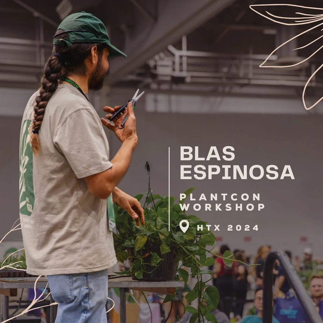 PLANTCON™ INTERNATIONAL