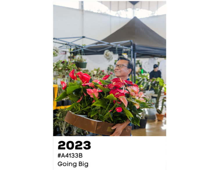 About Us — PLANTCON™