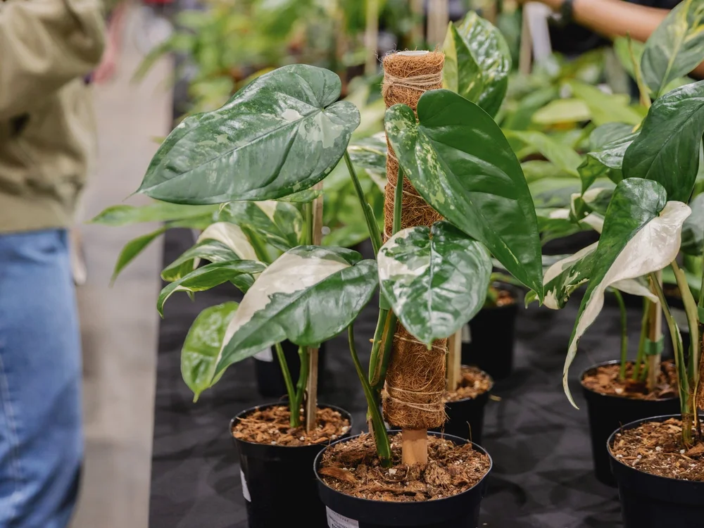 PlantCon Orlando 2025 — PLANTCON™