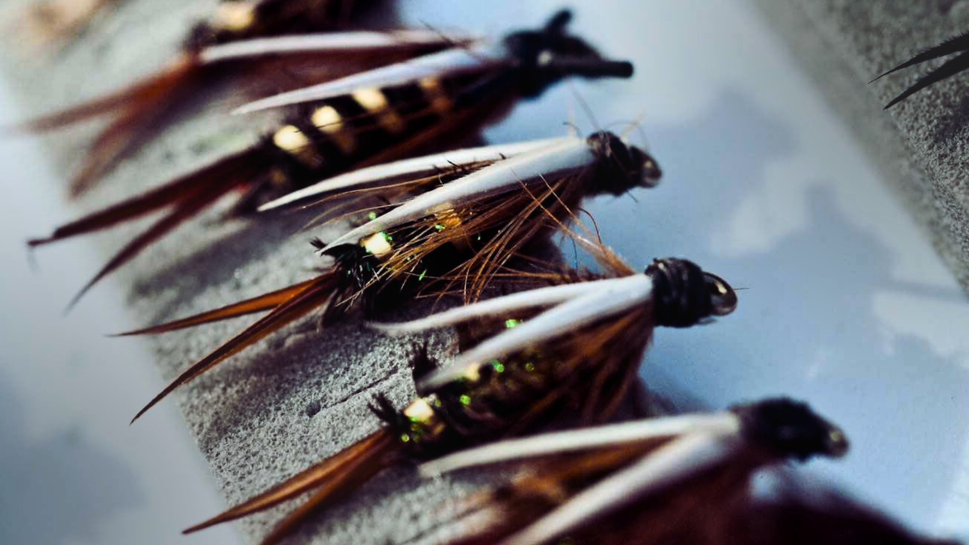 What Are Fly Fishing Nymphs? Unveiling the Secrets of Subsurface ...