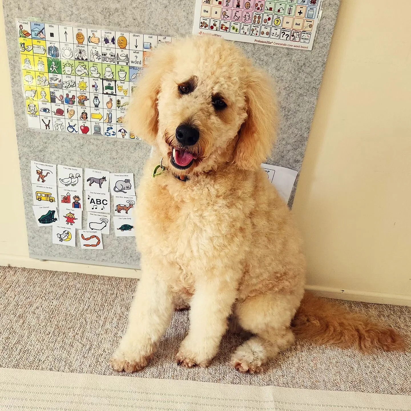 Sophie Whitton | Speech Pathologist — Green Speech Pathology