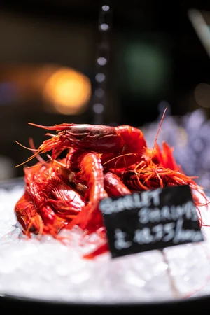 Menus — Novikov Restaurant & Bar