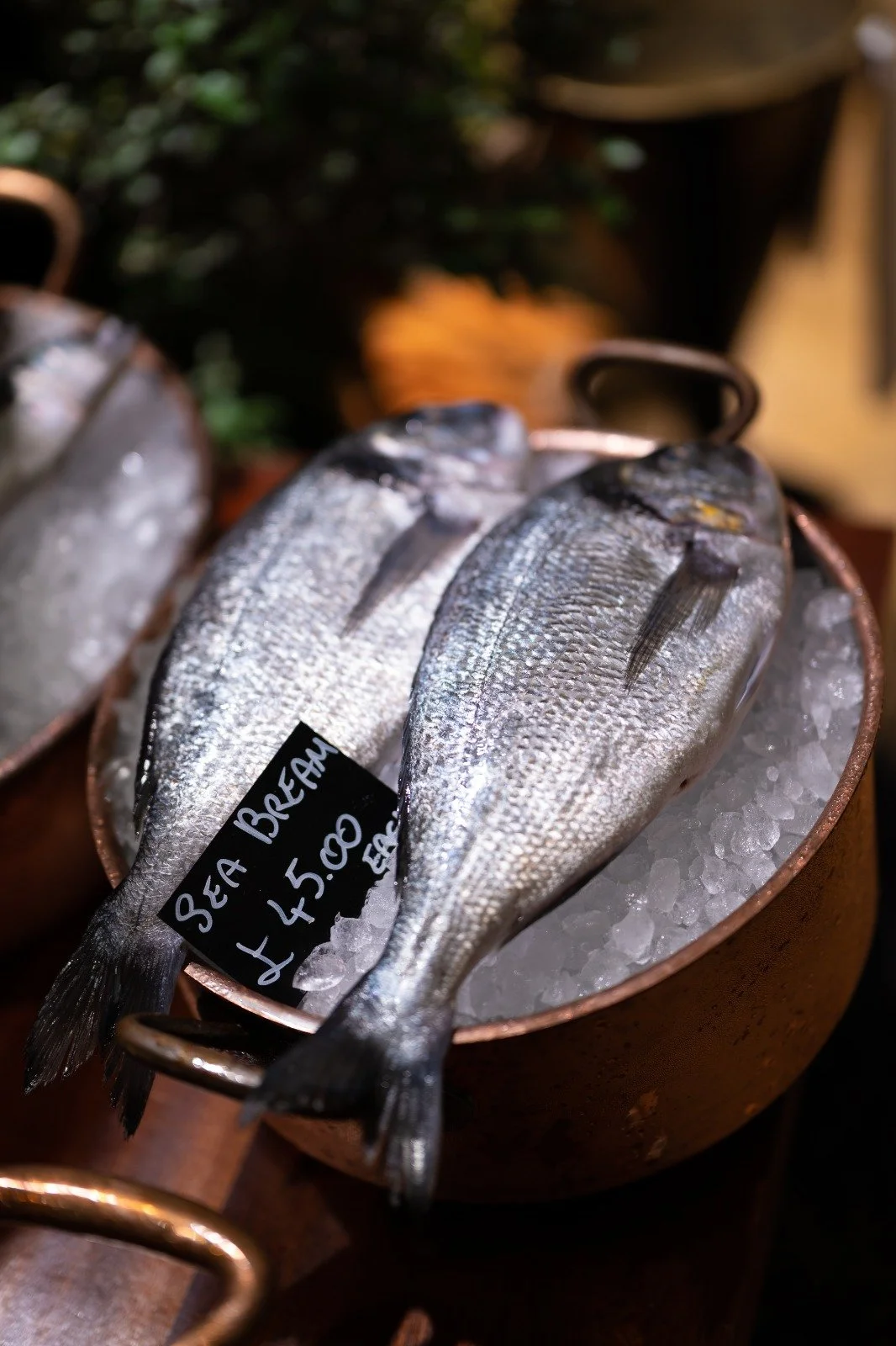 Italian — Novikov Restaurant & Bar