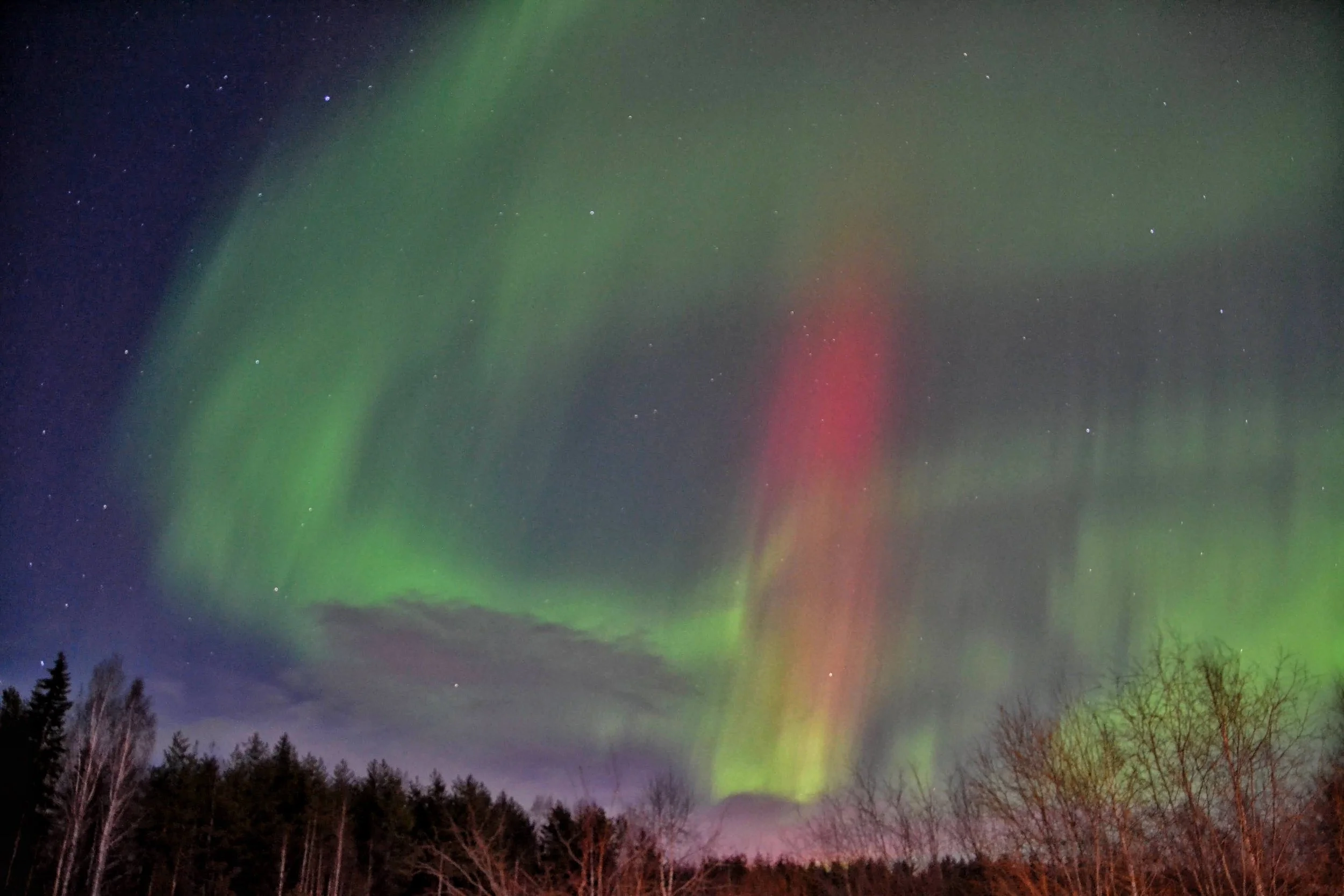 Northern Lights Tours in Vidsel, Sweden & Storforsen Nature Reserve
