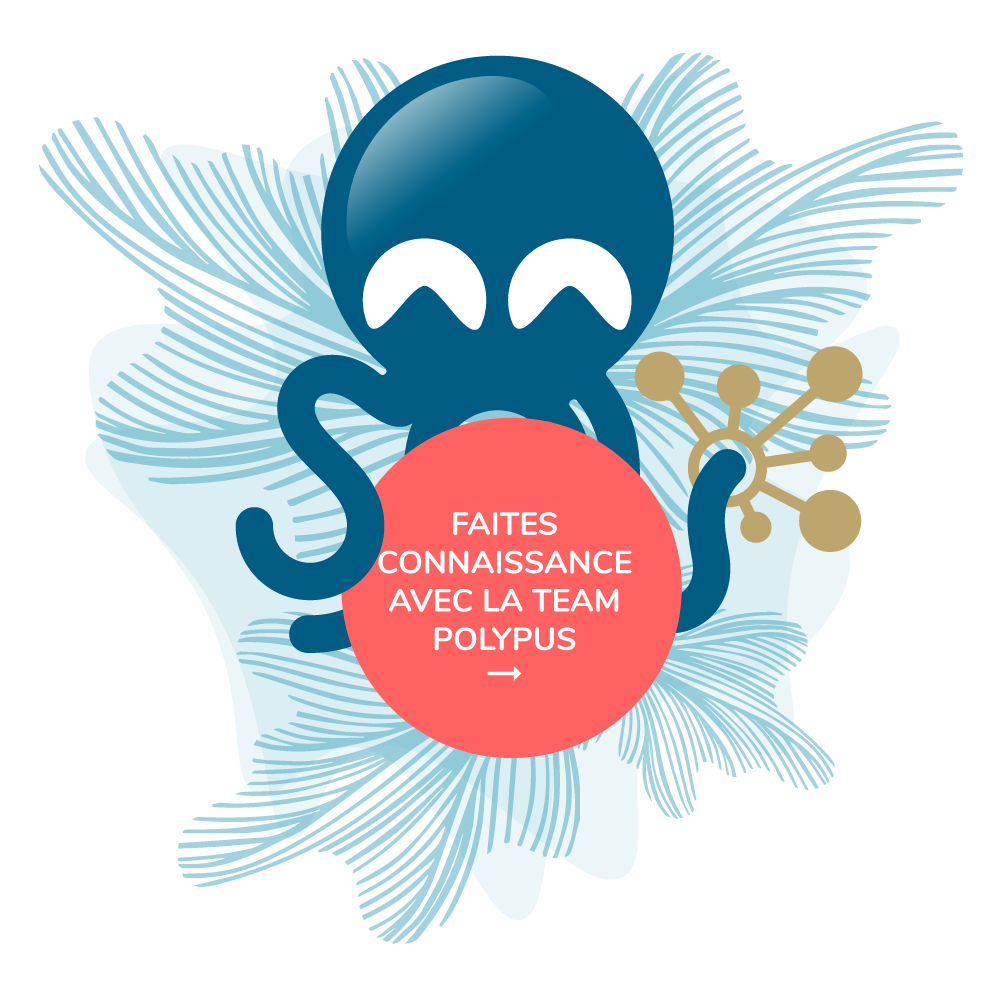 Polypus Suisse - scale up your business