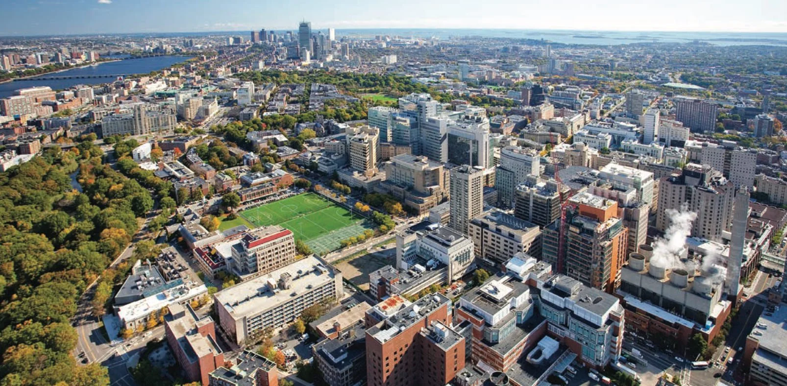 Disaster Medicine | Disaster Medicine Fellowship | BIDMC | Harvard Medical Faculty Physicians