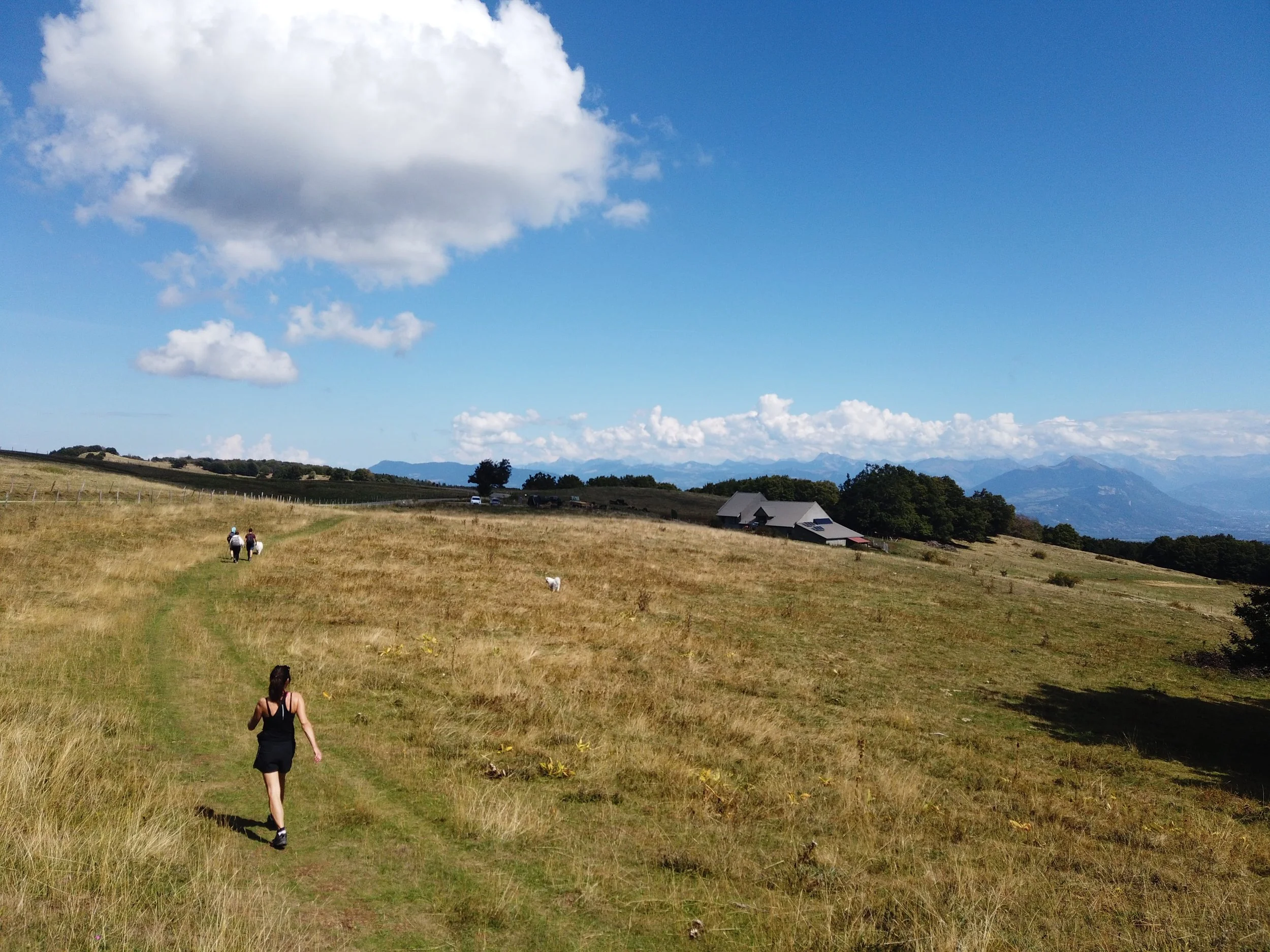 Randonnée accompagnée au Mont Salève à 45 minutes de Genève ...