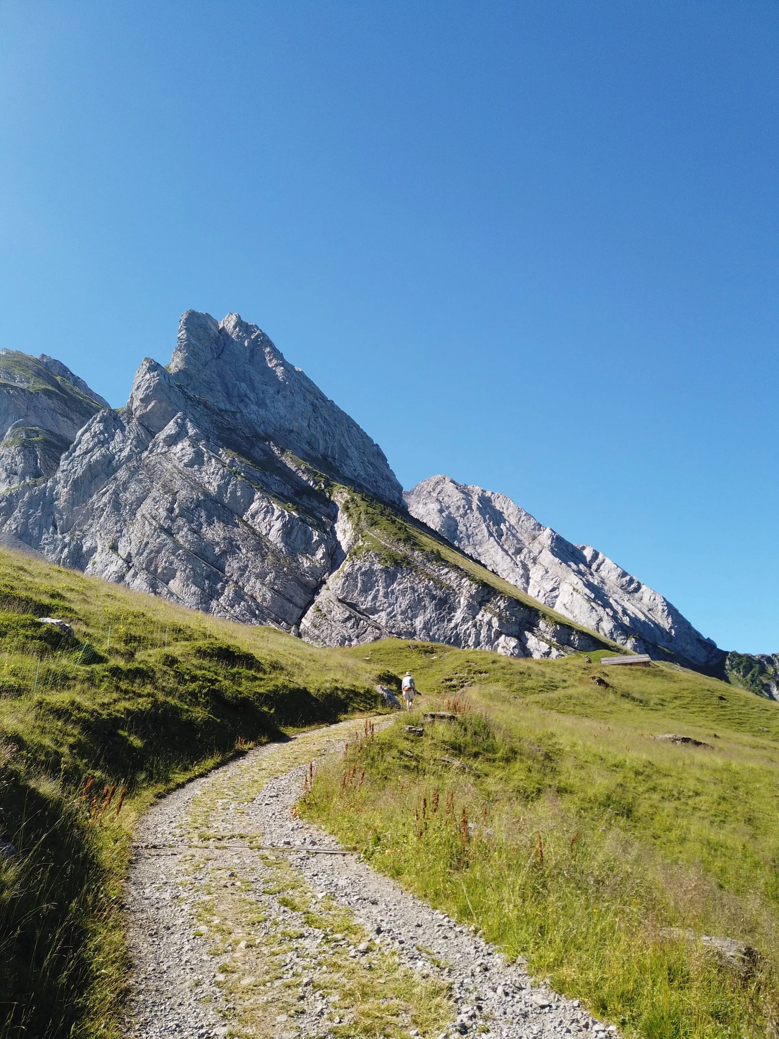 Randonnée pédestre guidée au Lac de Tardevant dans la Chaîne des Aravis ...
