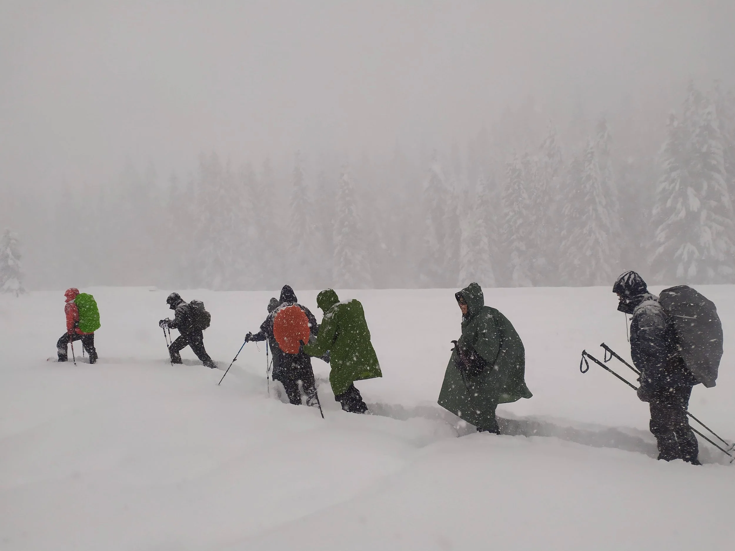 Tempête de neige au cours d'une randonnée en raquettes au Lac de Vallon ...