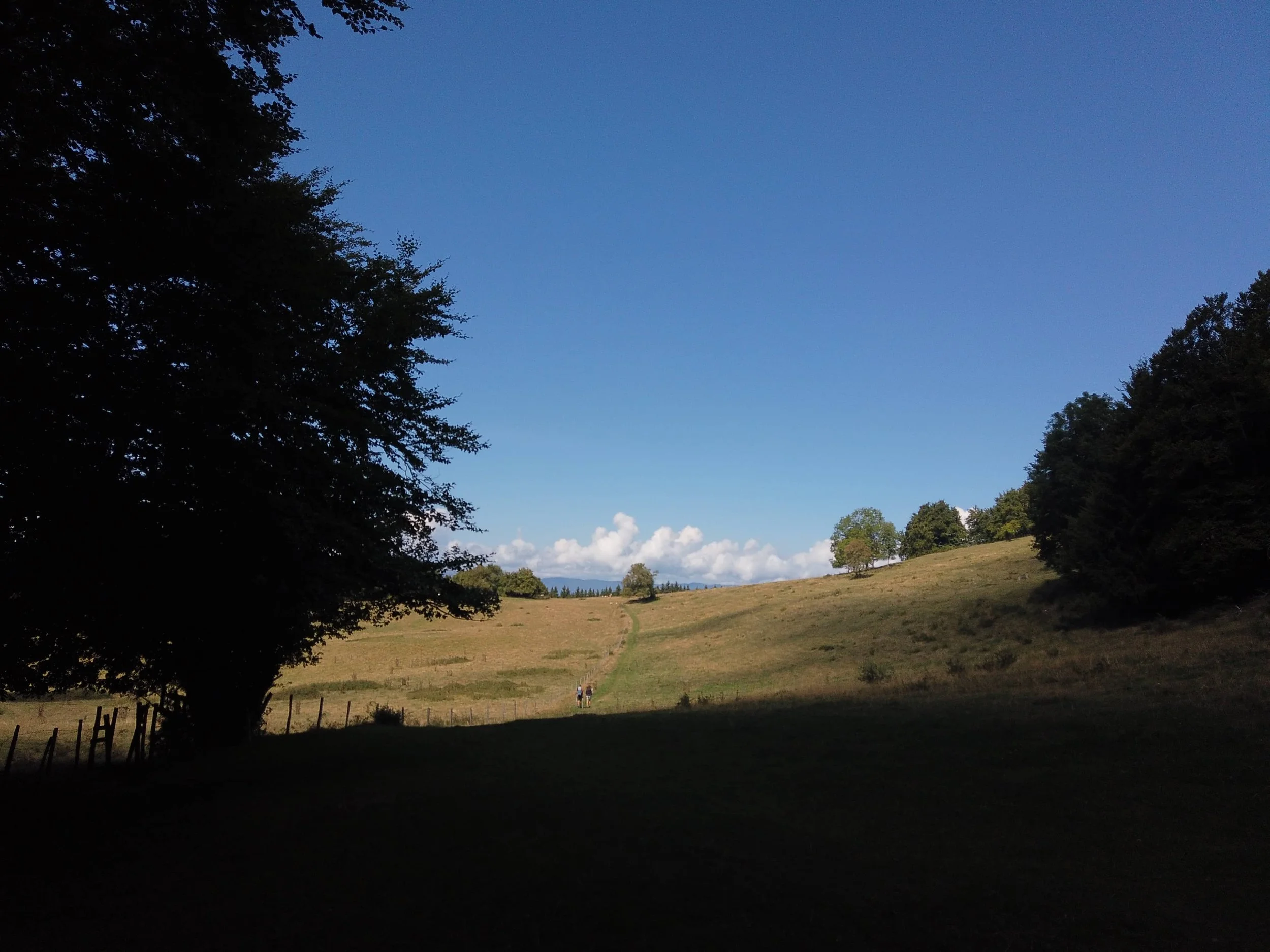 Randonnée accompagnée au Mont Salève à 45 minutes de Genève ...