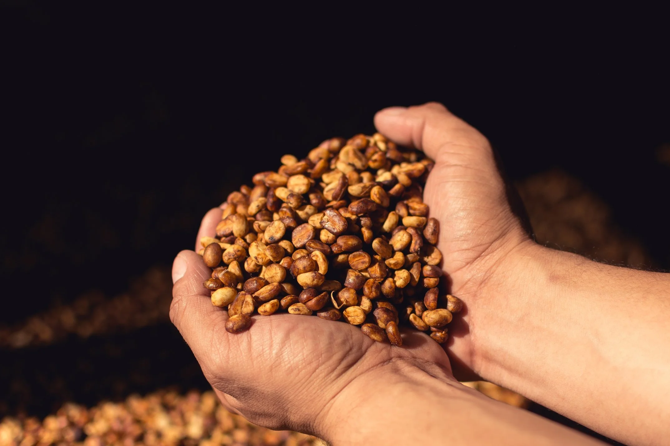 Processology How to Understand and Explain Coffee Processing Methods to ...