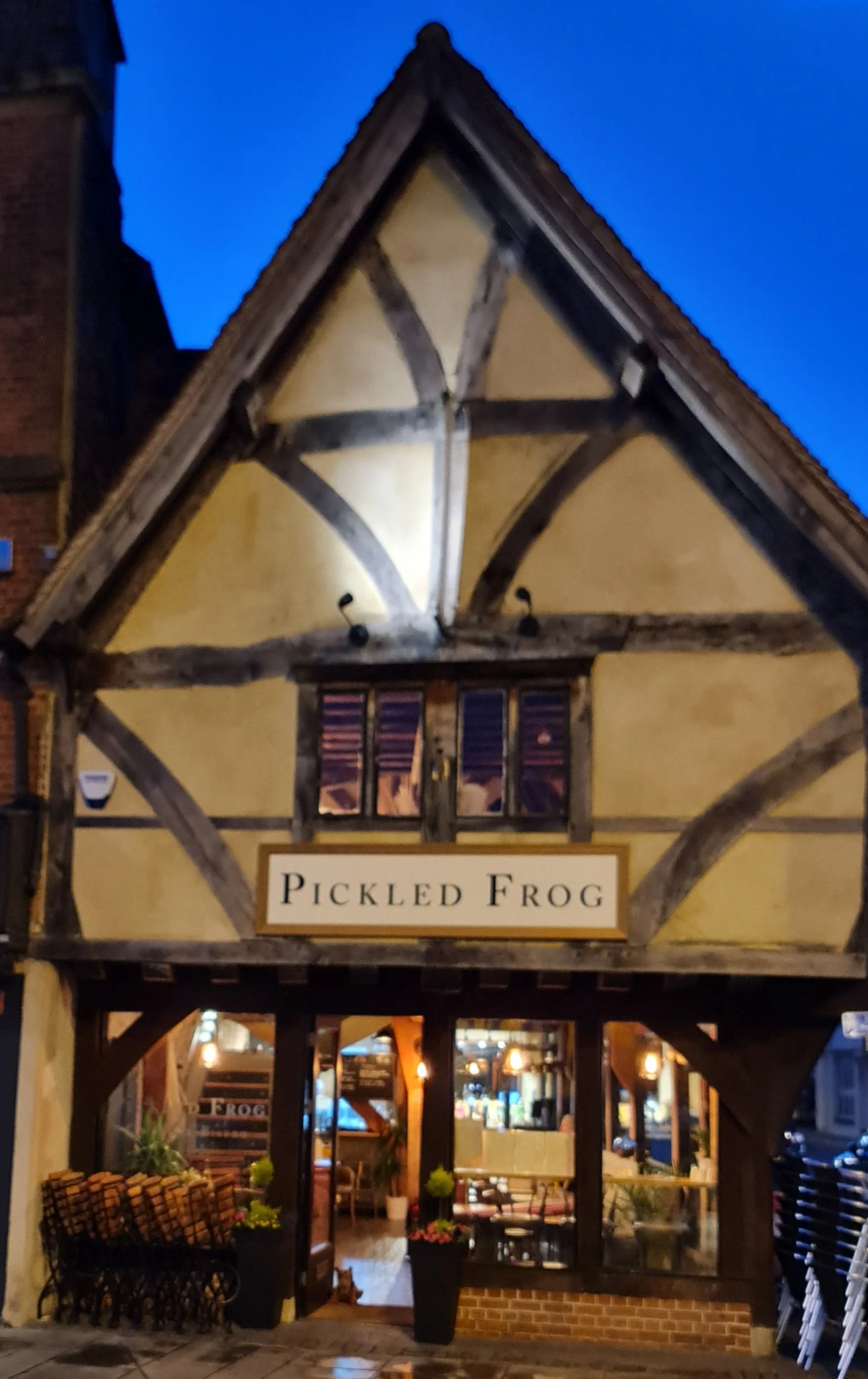 Gallery — Pickled Frog
